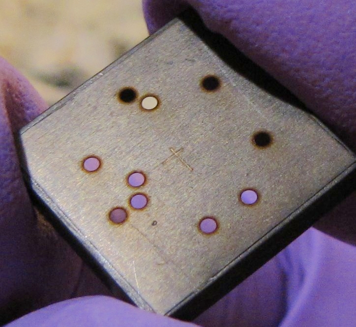 Research Interests | Alexandra Greenbaum, PhD