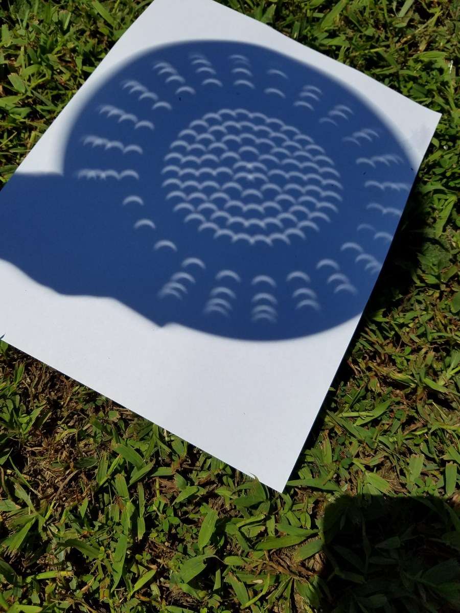 Experiencing Totality | Alexandra Greenbaum, PhD